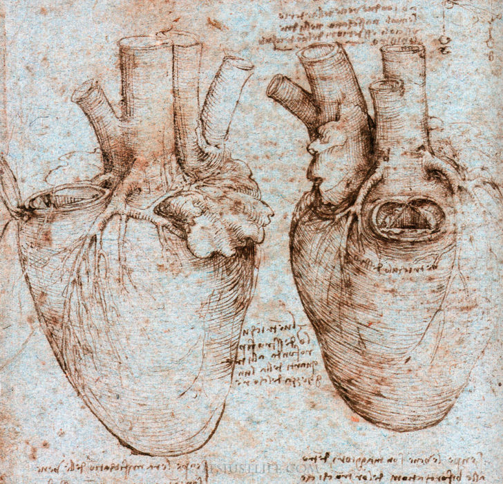 Cardiovascular Summer School